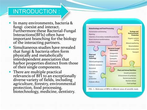 BACTERIAL FUNGAL INTERACTIONS PPTX
