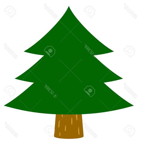 Cedar Tree Vector At Vectorified Com Collection Of Cedar Tree Vector Free For Personal Use
