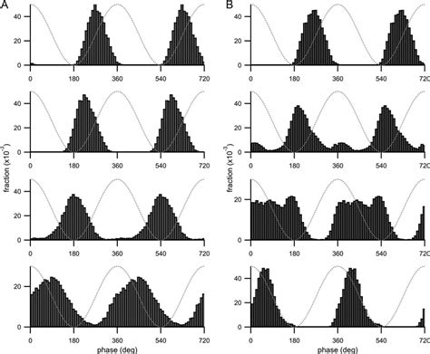 Theta Phase Histograms From Different Place Field Subregions With Model Download Scientific