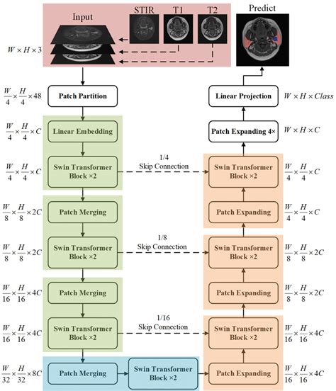 Network Structure Diagram Download Scientific Diagram