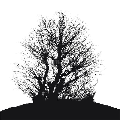 Tree Without Leaves Vector Illustration EPS 10 Stock Illustration