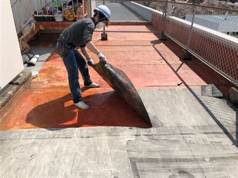 右京区で屋上防水改修工事雨漏り防水工事塗装工事のことなら京都市伏見区の中森工業株式会社へ
