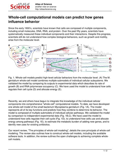 Pdf Whole Cell Computational Models Can Predict How Genes Influence Behavior