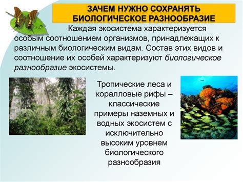 Сохранение биологического разнообразия презентация онлайн