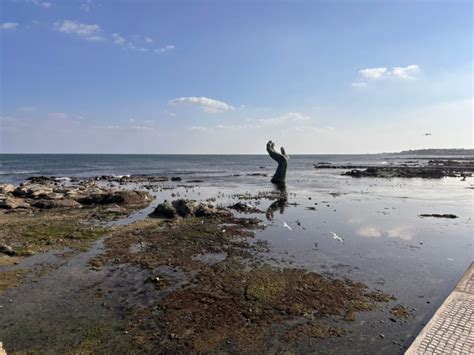 국내여행 포항 무계획 1박2일 여행기 월녀의 해물포차 오호리준 장기식당 일본인가옥거리 주차꿀팁 호미곶 구룡포