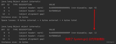 java 对象结构之 markword csdn博客