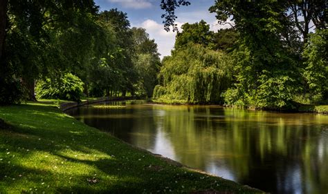 Visit Thetford - Leaping Hare - Leaping Hare - Everything Thetford