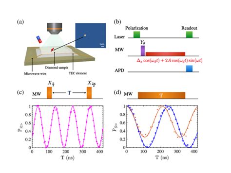 International Joint Laboratory On Quantum Sensing And Quantum Metrology