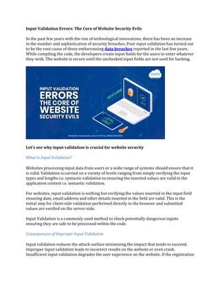 Input Validation Errors PDF