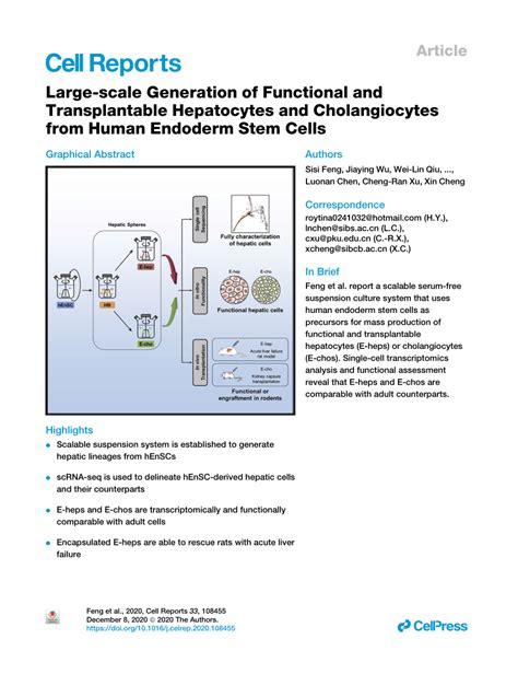 Pdf Large Scale Generation Of Functional And Transplantable Hepatocytes And Cholangiocytes