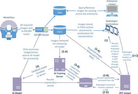 Integrating Ai Into Radiology Workflow Levels Of Research Production And Feedback Maturity Pmc