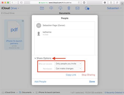 How To Share ICloud Drive Files