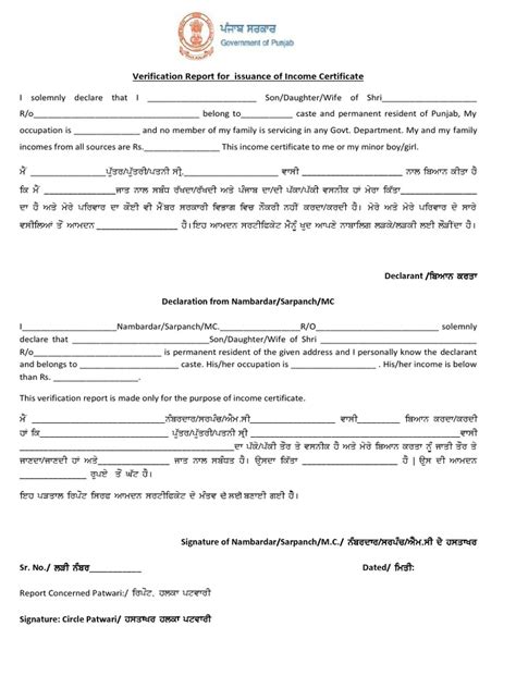 Verification Report Pdf