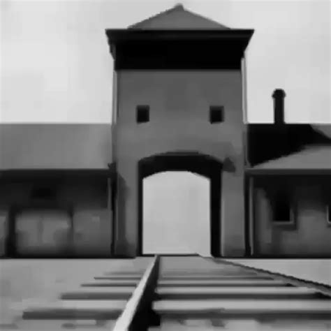 Bro Who Made This R Terroriser