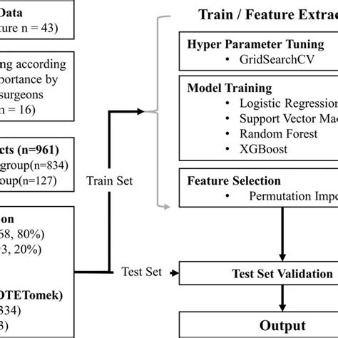Schematic Flow Chart Of The Study Download Scientific Diagram