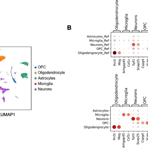 UMAP Plots Before And After Four Harmonization Methods A Original UMAP Download Scientific