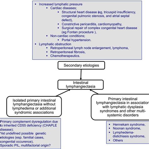 Various Conditions Associated With Intestinal Lymphangiectasia