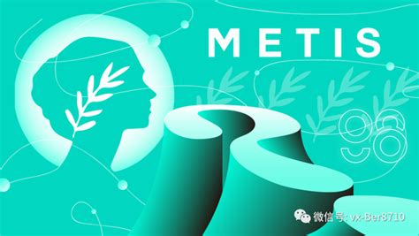 什么是metis？关于metis你需要知道的一切 知乎
