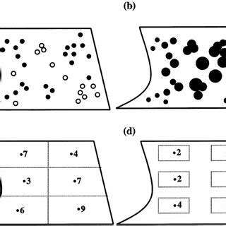 Further Examples Of Forms Of Point Referenced Data The Censussed