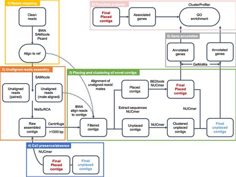 Pipeline For The Prediction And Analysis Of Novel Sequences The