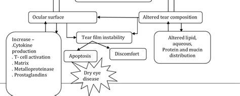 Etiopathogenesis Of Dry Eye Diseases Lacrimal Dysfunction Tear Download Scientific Diagram
