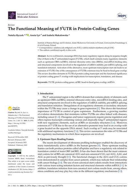 Pdf The Functional Meaning Of 5′utr In Protein Coding Genes