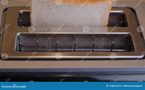 Man Put Bread In To Toaster In The Kitchen Preparing Hot Toast For Breakfast Bread Being