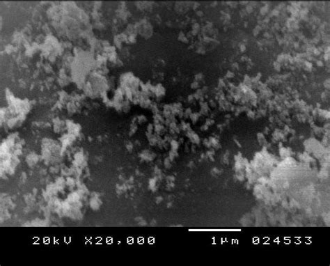 SEM Micrograph Of N HAP Particles Nm Download Scientific Diagram