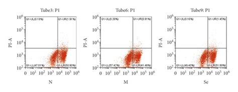 A B Cell And Breg Cell Ratios In The Spleen Tested By Flow Cytometry ∗p Download Scientific