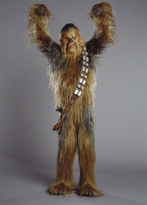 Download Wookiee Roaring In Fearless Rebellion Wallpaper