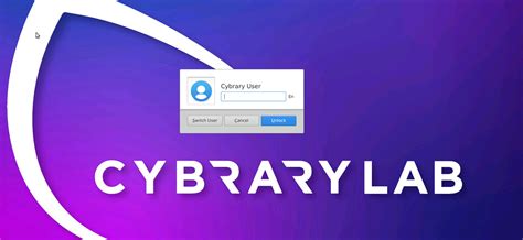 Vulnerability Scanner Basics It And Cybersecurity Foundations Cybrary