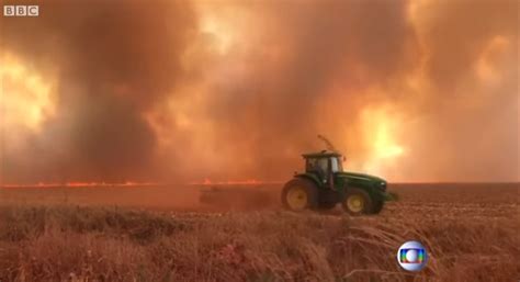 ამაზონის ტყეები იწვის ხანძრის რეკორდული მასშტაბები ბრაზილიაში Netgazeti • ამაზონის ჯუნგლები