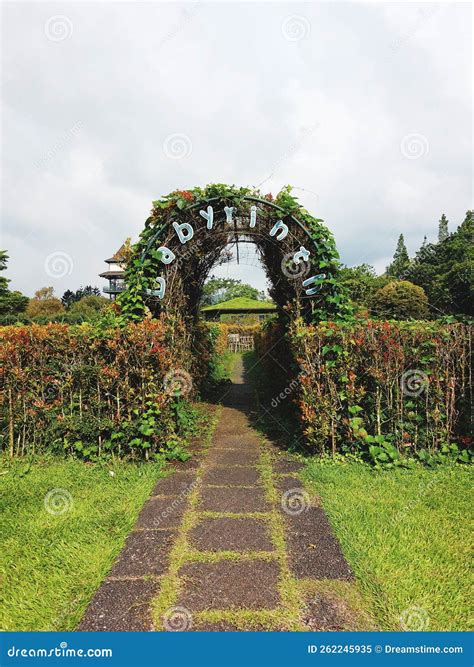 Labirinth Entrance For Playing Maze Garden Stock Image Image Of Composed Cloud 262245935