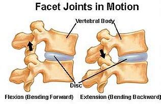 Getting Back To Neutral Types Of Proper Spinal Posture At Adresss