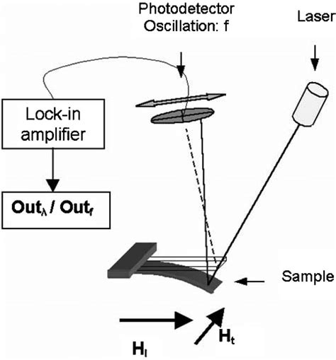 Schematic Experimental Setup The Photodetector Is Oscillating With Download Scientific Diagram