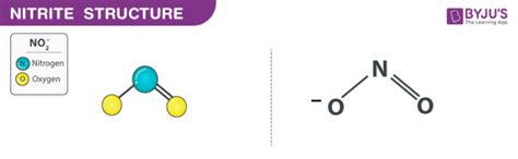 Nitrite No 2 Structure Properties Molecular Weight And Uses