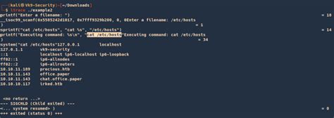 C Exploiting System Calls In C And Command Injection Vk9 Security