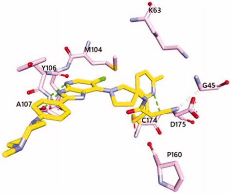Full Article Synthesis And Biological Activity Of 2 Cyanoacrylamide