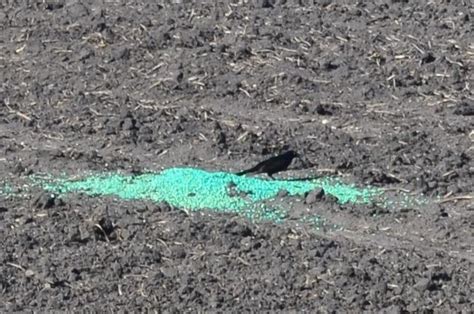 Safe Handling Of Treated Seed