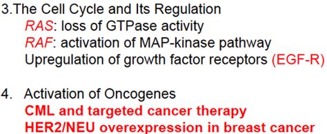 Oncogenes Flashcards Quizlet