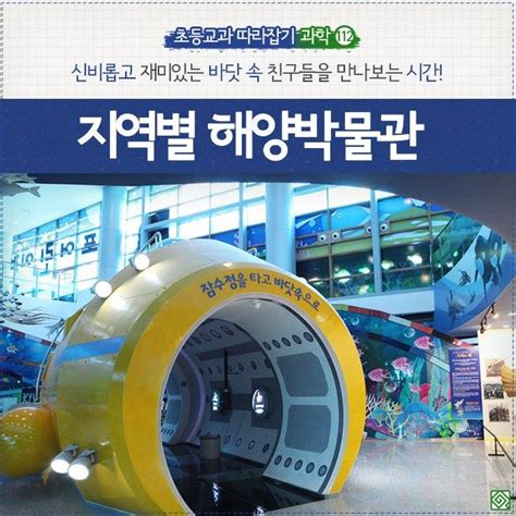 체험학습 모든학교 지역별 해양박물관 시원한 바다가 그리워지는