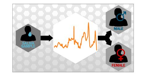 Sex Determination Based On Raman Spectroscopy Of Saliva Traces For Forensic Purposes