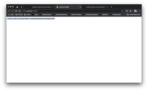 Unable To Get Functional Netdata With Docker Image · Issue 8083