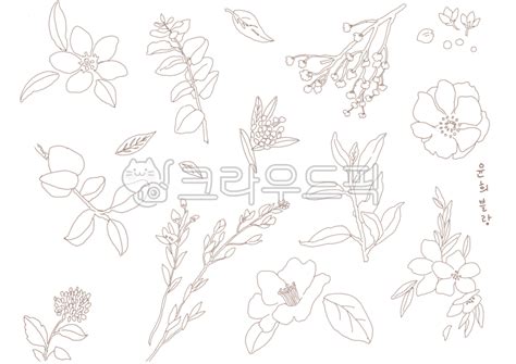 컬러링시트 색칠공부 Plant 꽃그림 식물 사진이미지일러스트캘리그라피 윤희블랑작가