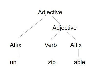 Solved Morphology Tree Diagrams This Is An Example Q Word Trees Course Hero