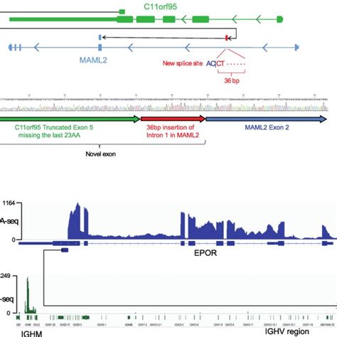 Fusion Detection Using Cicero A Overview Of Cicero Algorithm Which