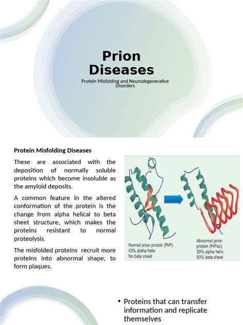 Understanding Prion Diseases And Protein Misfolding Pdf Protein