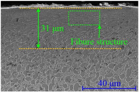 Microstructure Characteristics Of Turned Surface During Fatigue Download Scientific Diagram