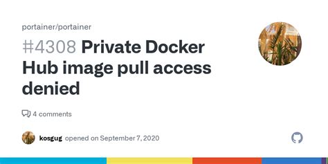 Private Docker Hub Image Pull Access Denied · Issue 4308 · Portainer Portainer · Github