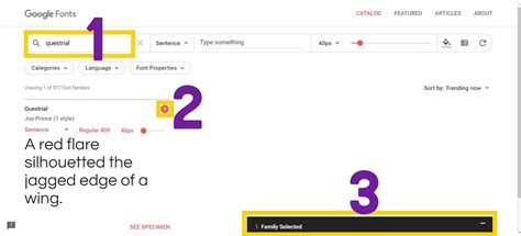 How To Host Google Fonts Locally In Wordpress Wplogout